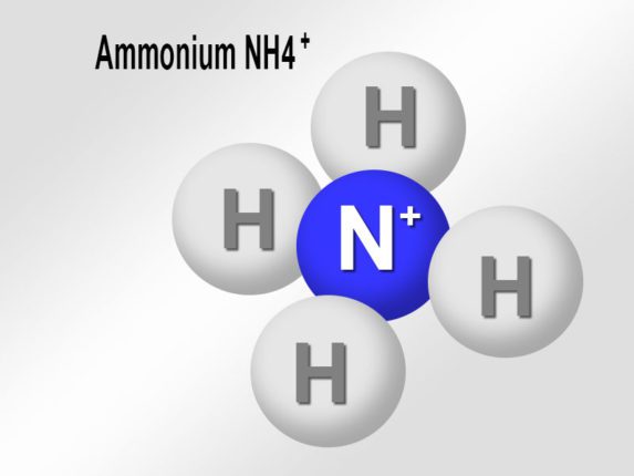 L'Ammonium : Qu'est ce que c'est ? et dans quel domaine est-il utilisé ...