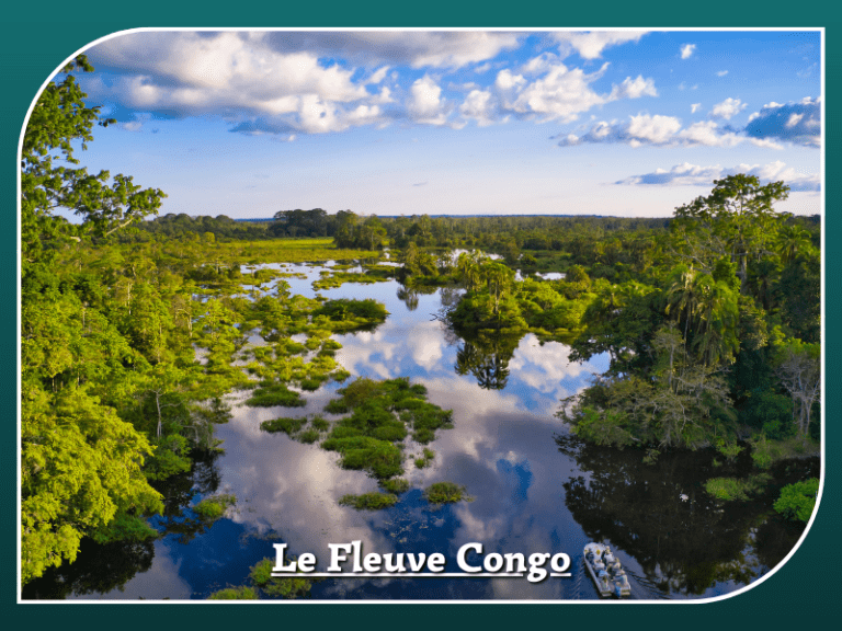 Le Fleuve Congo : Un Géant d’Afrique aux Mille Visages - MekssiMed